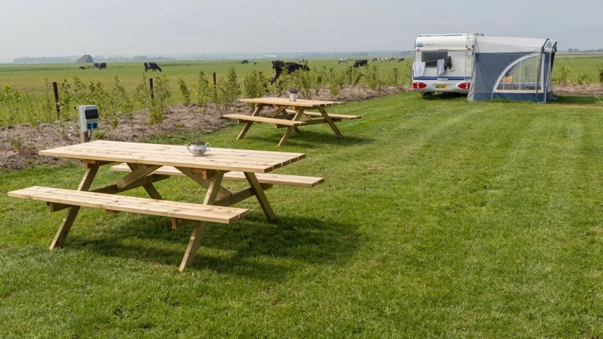 Boerencamping op Texel | VVV Texel