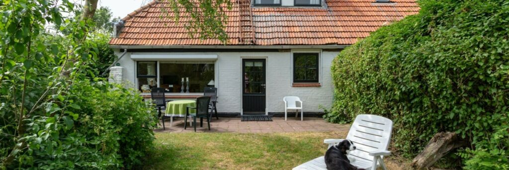 Möchten Sie ein Apartment für sich und Ihren Hund buchen? | VVV Texel