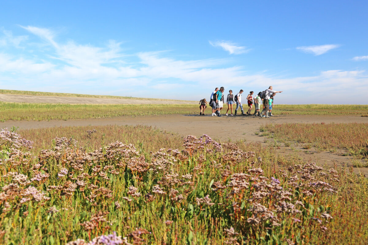 Met een gids de Texelse natuur in? Ontdek ons Waddeneiland! | VVV Texel