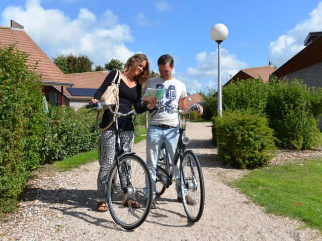 Fietsroutes op Texel? Download de leukste routes om te fietsen | VVV Texel