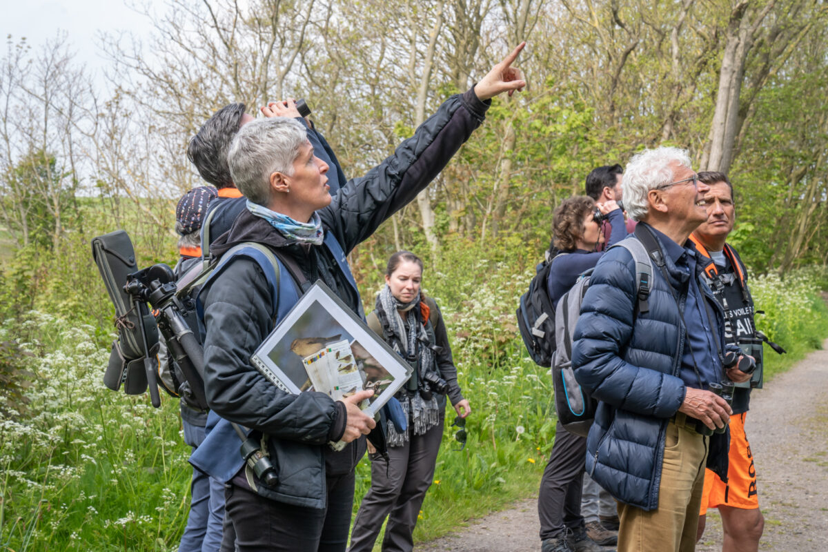 Vogelexcursies op Texel | VVV Texel