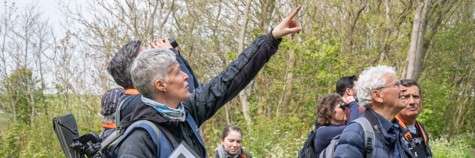 Vogelexcursies op Texel | VVV Texel