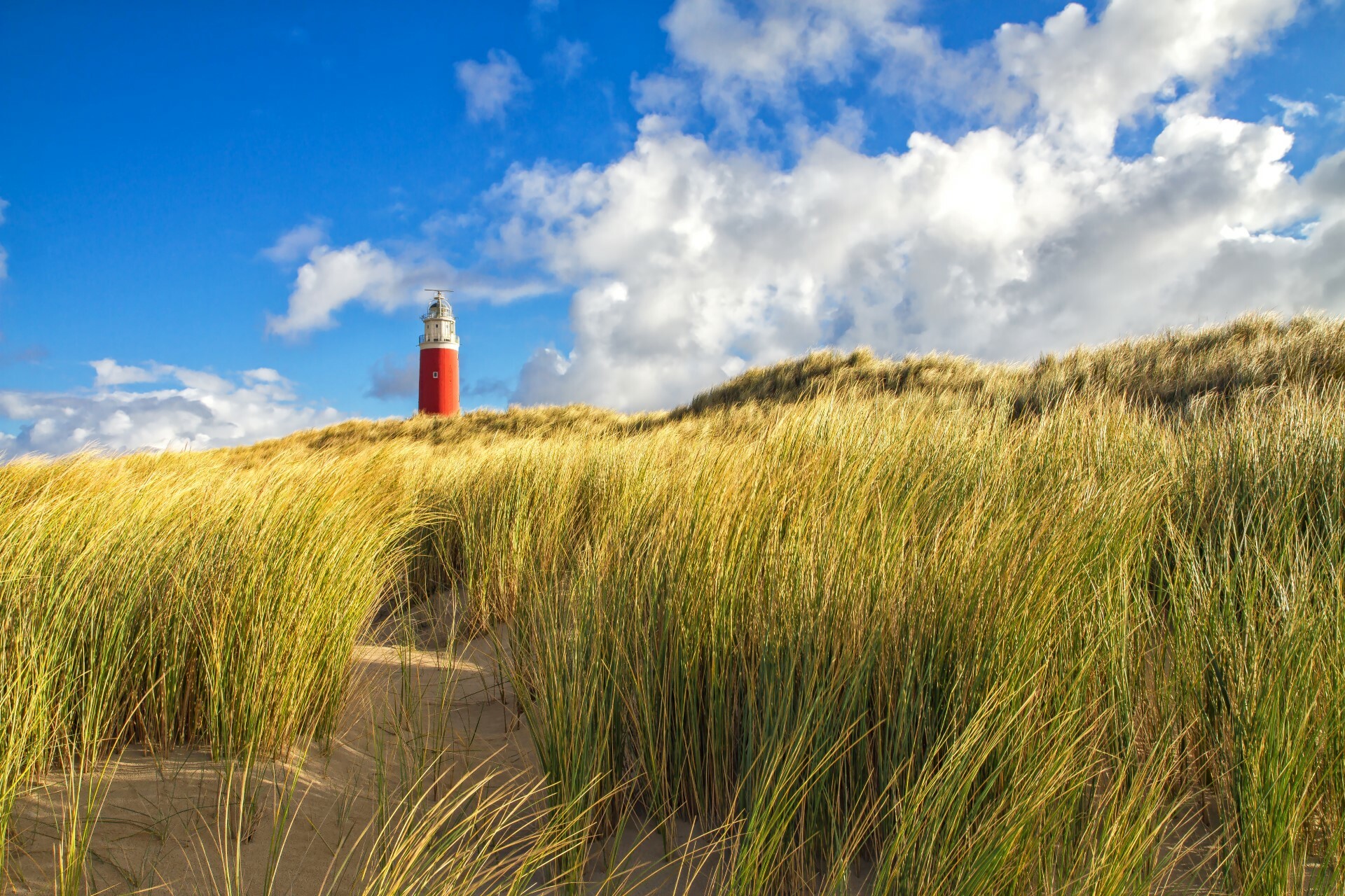 Facts about Texel | What do you know about our Wadden Island? | VVV Texel