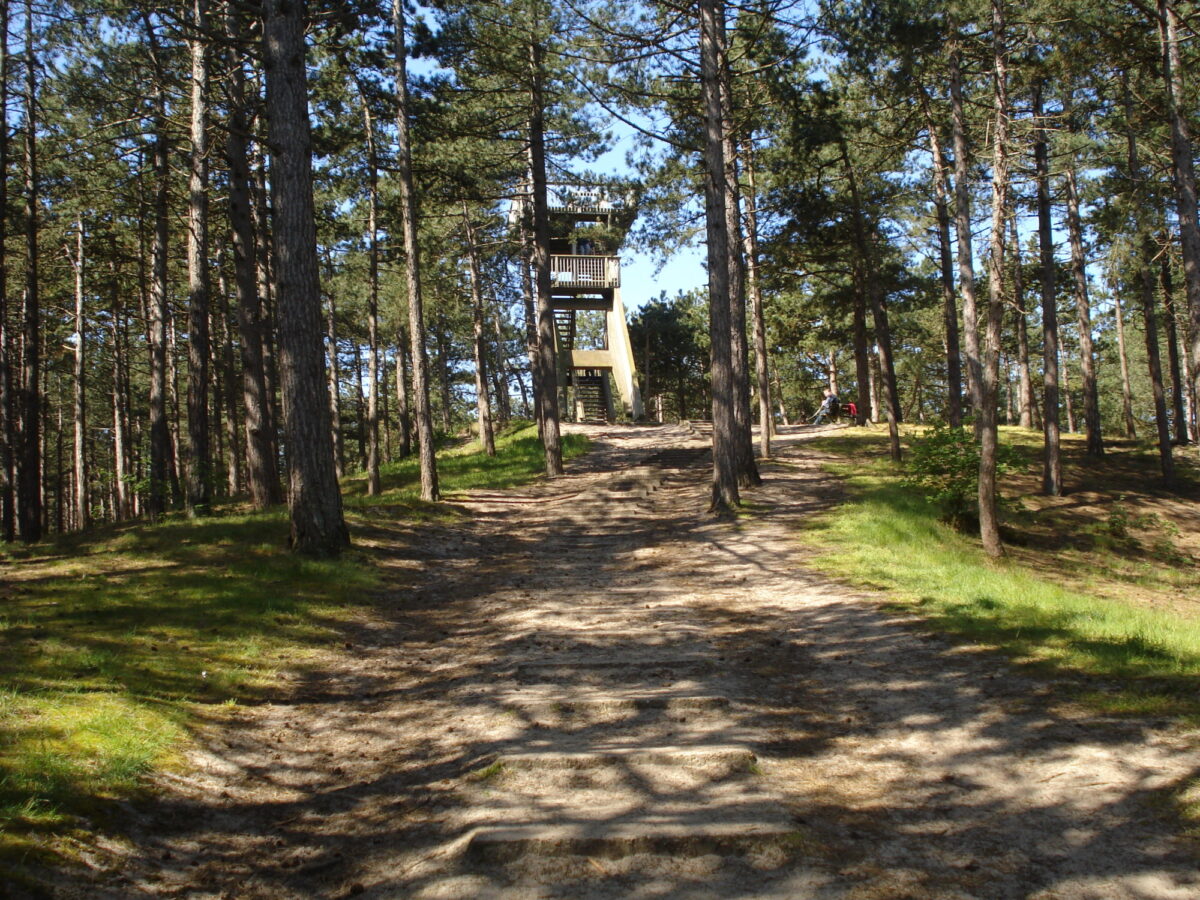 Gratis wandelroute Kinderroute klimmen en spelen, hier te downloaden ...