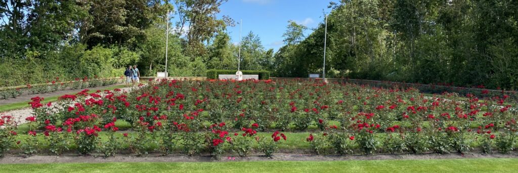 Georgians on Texel | The last battle of WW2 | VVV Texel
