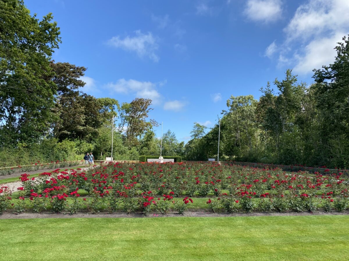 Georgians on Texel | The last battle of WW2 | VVV Texel