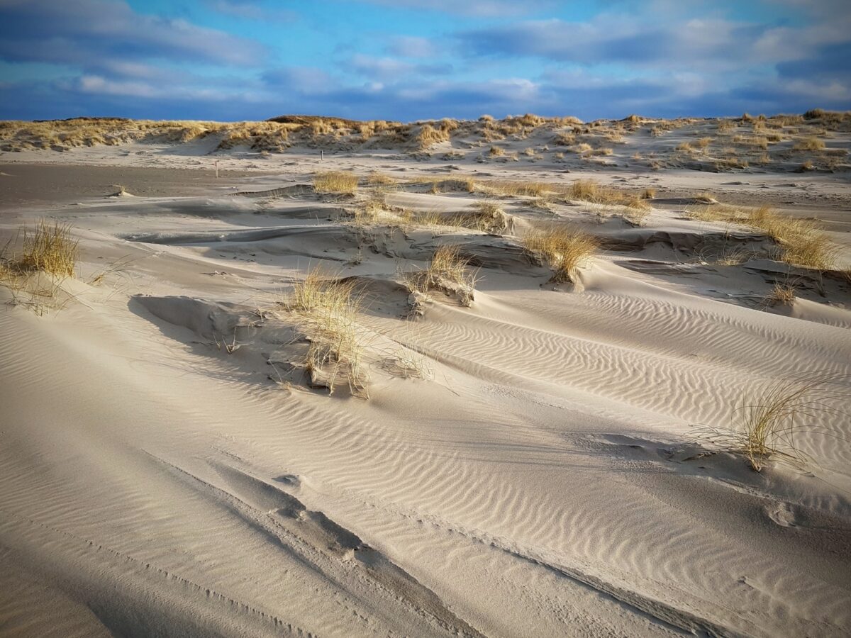 Het ontstaan van Texel | VVV Texel