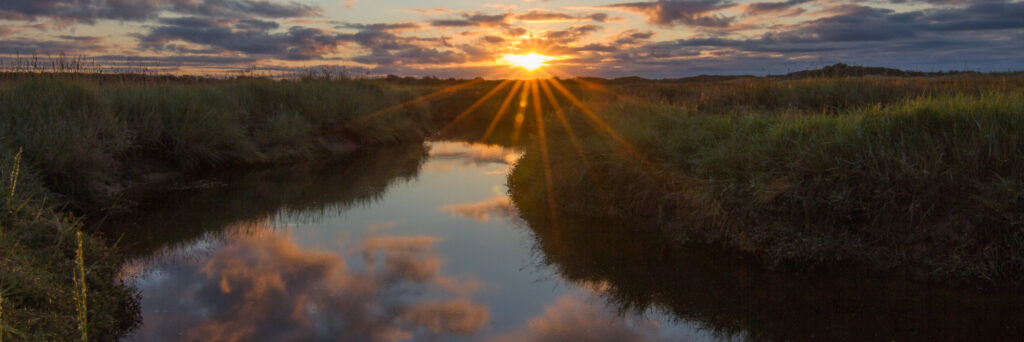 Nationaal Park de Duinen van Texel: ontdek de Texelse natuur | VVV Texel