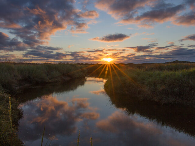Nationaal Park de Duinen van Texel: ontdek de Texelse natuur | VVV Texel