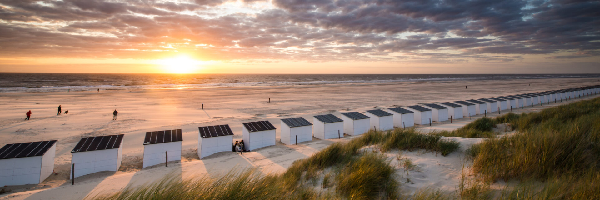 Texel entdecken | VVV Texel