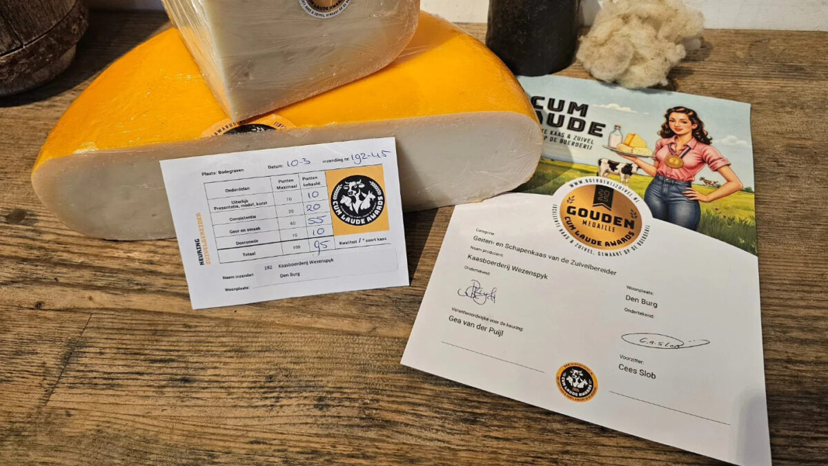 Cheese from Wezenspyk wins a prize | VVV Texel