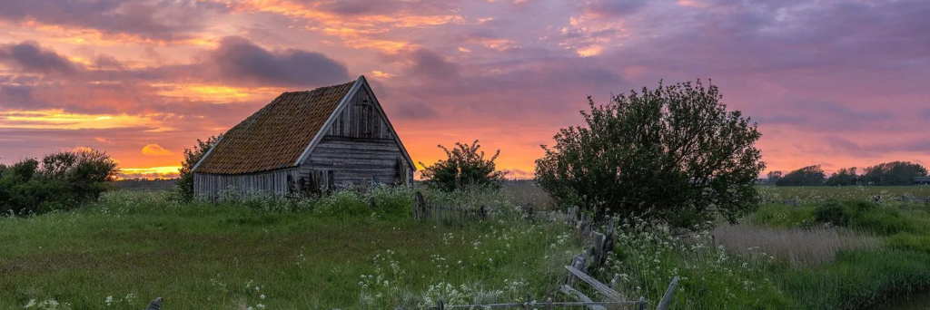 Book local, buy local and enjoy local! | VVV Texel