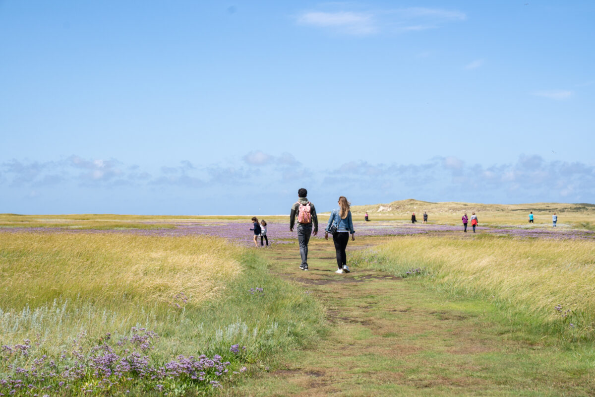7x actief in de Texelse natuur | VVV Texel