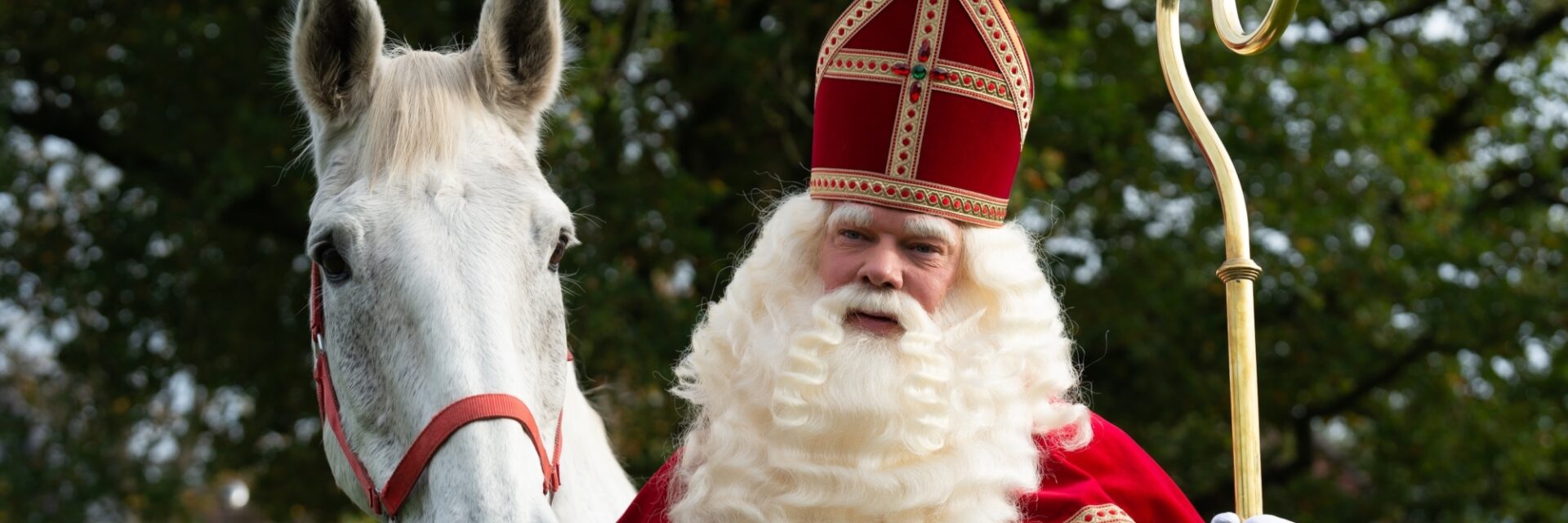 Nationwide welcoming of Sinterklaas on Texel | VVV Texel