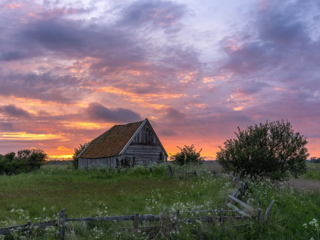 Book local, buy local and enjoy local! | VVV Texel